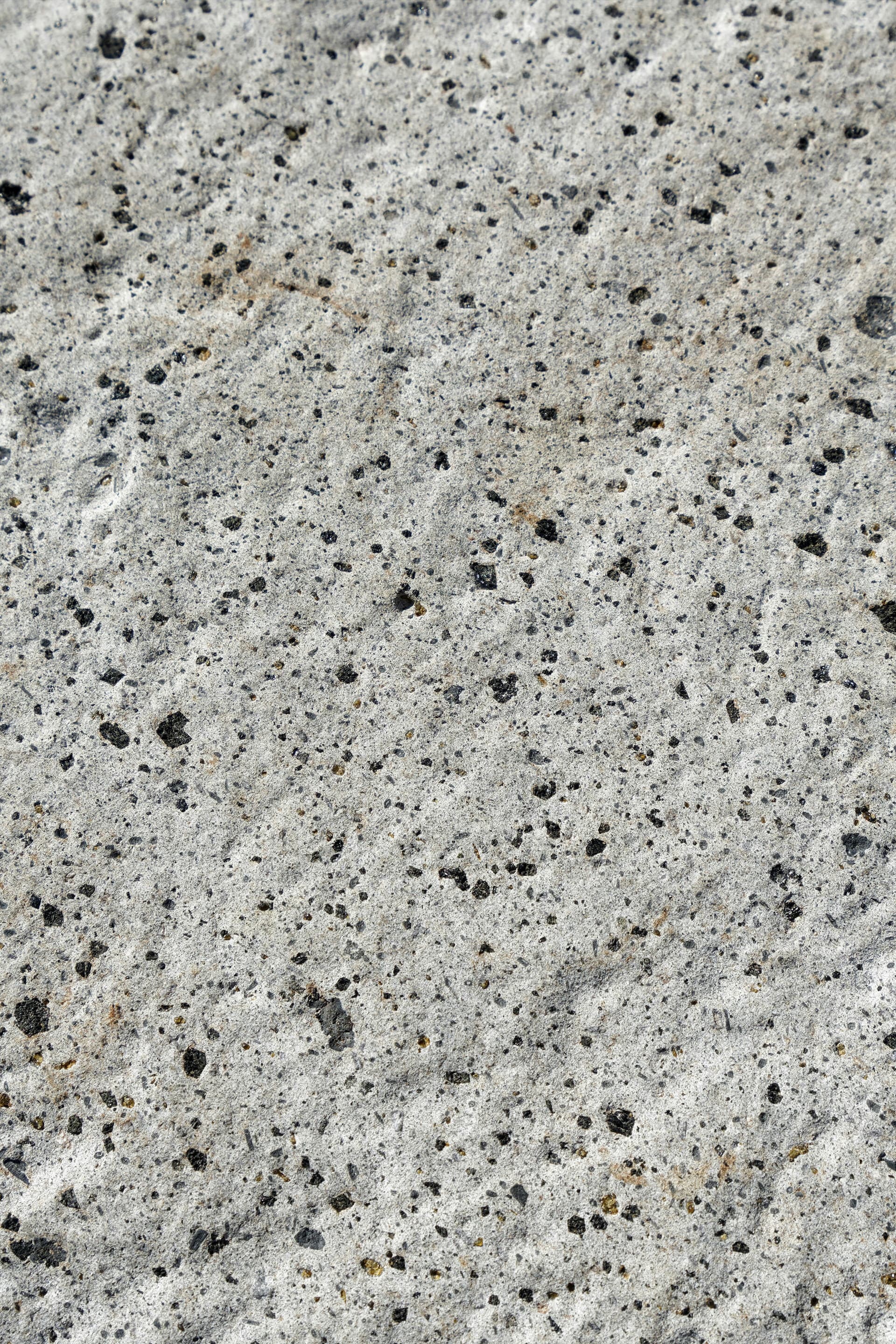 Reports and Publications | SBO